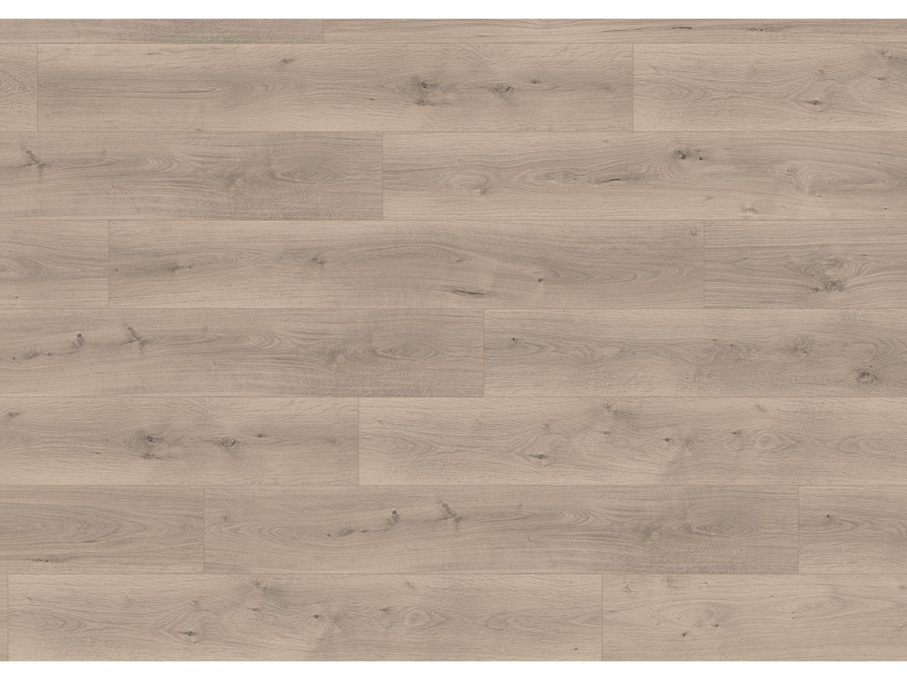 Pavimento Laminato Water Resistant Rovere Pinot Grigio AC4 - Iperceramica